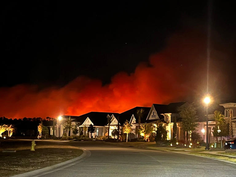 Map shows Florida counties under burn bans. Tips to protect your home