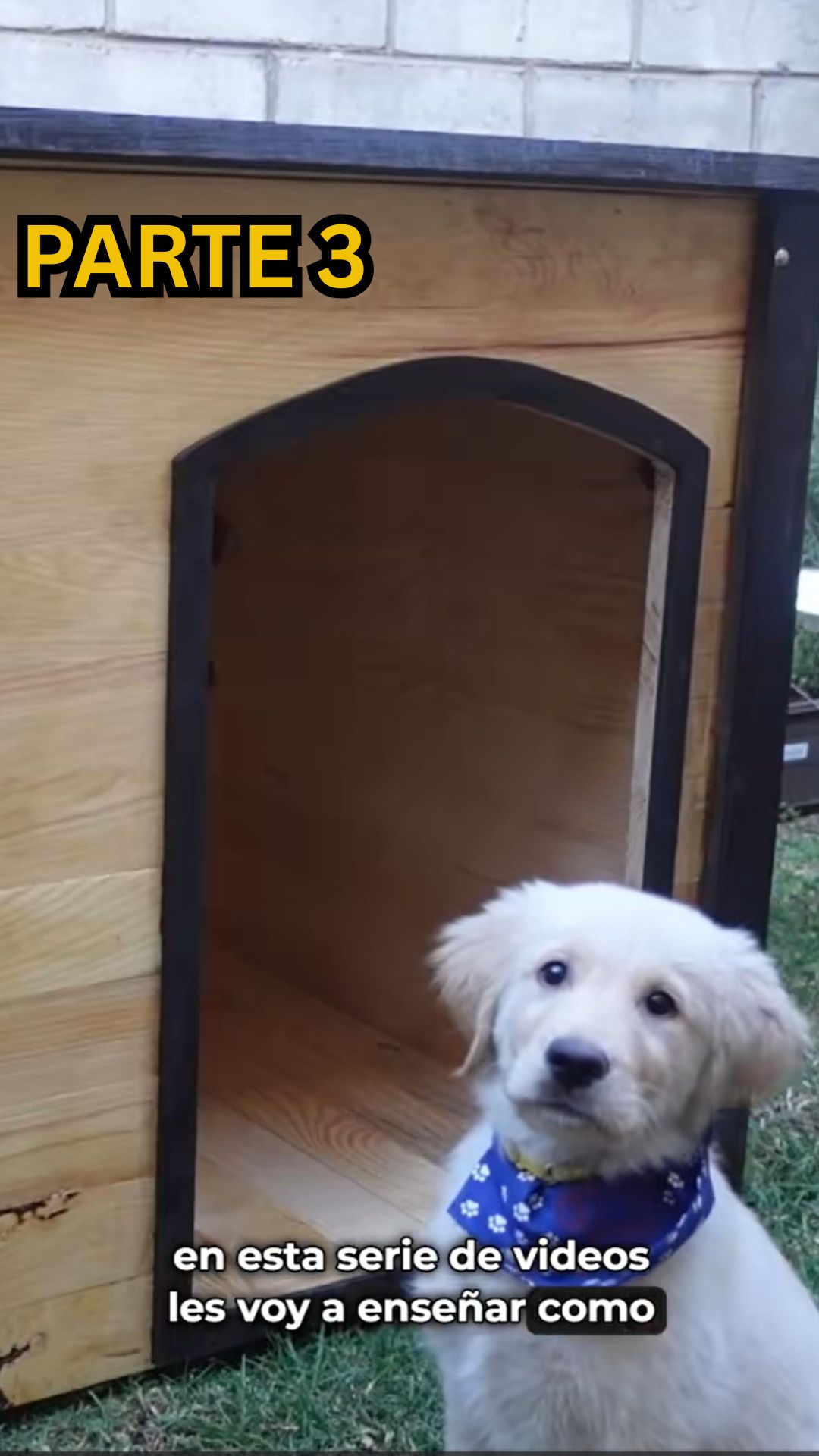 Construcción de una casita para perro: parte 3