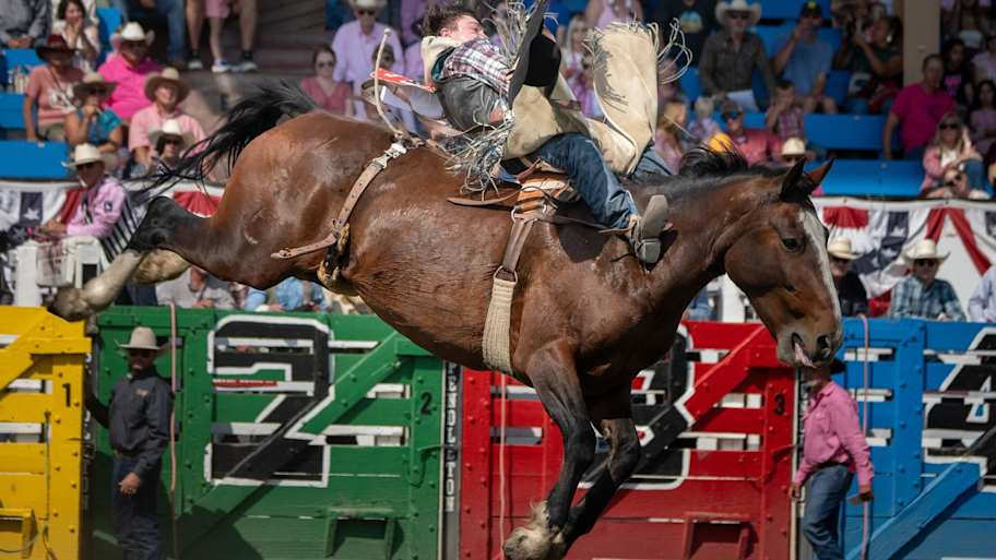California bareback rider sidelined following shoulder surgery