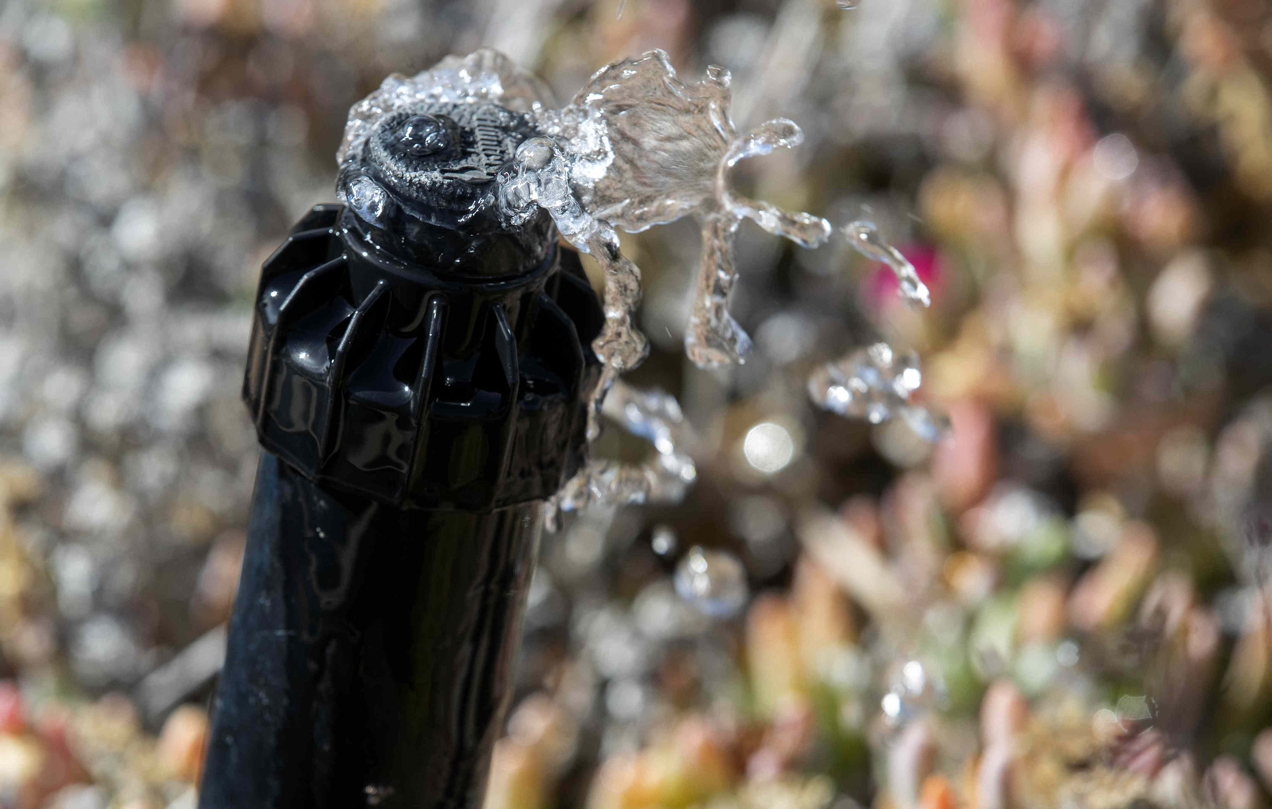 How to tell if your sprinkler system is damaged after a freeze