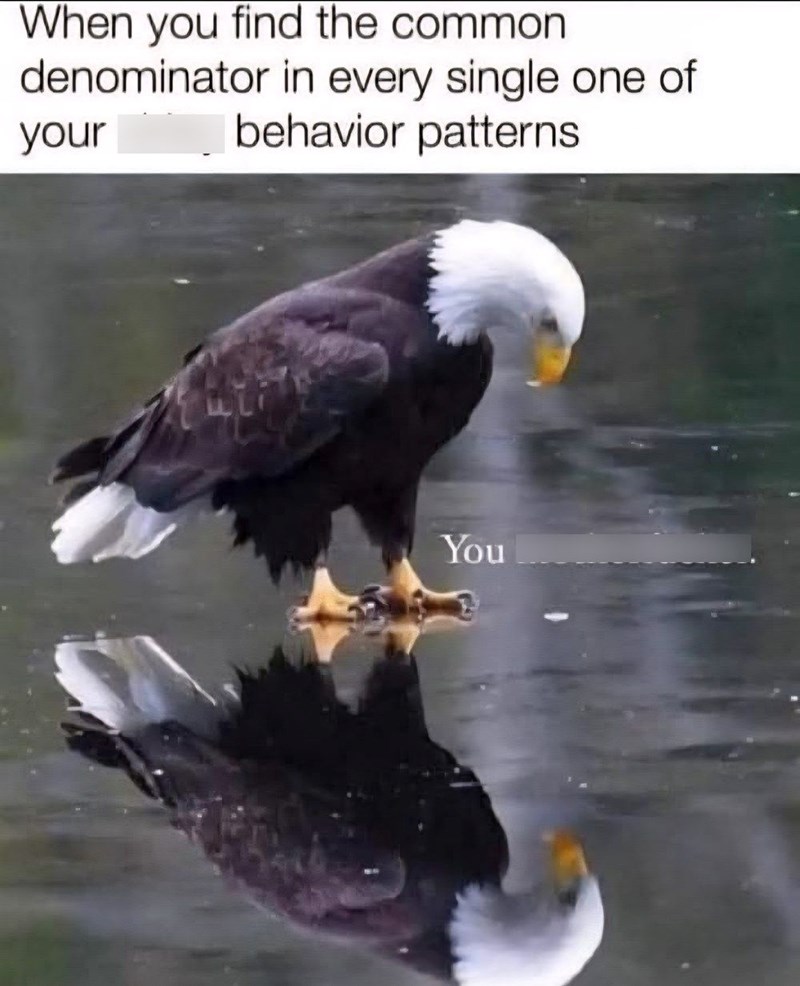 31 memes to sit back and relax with