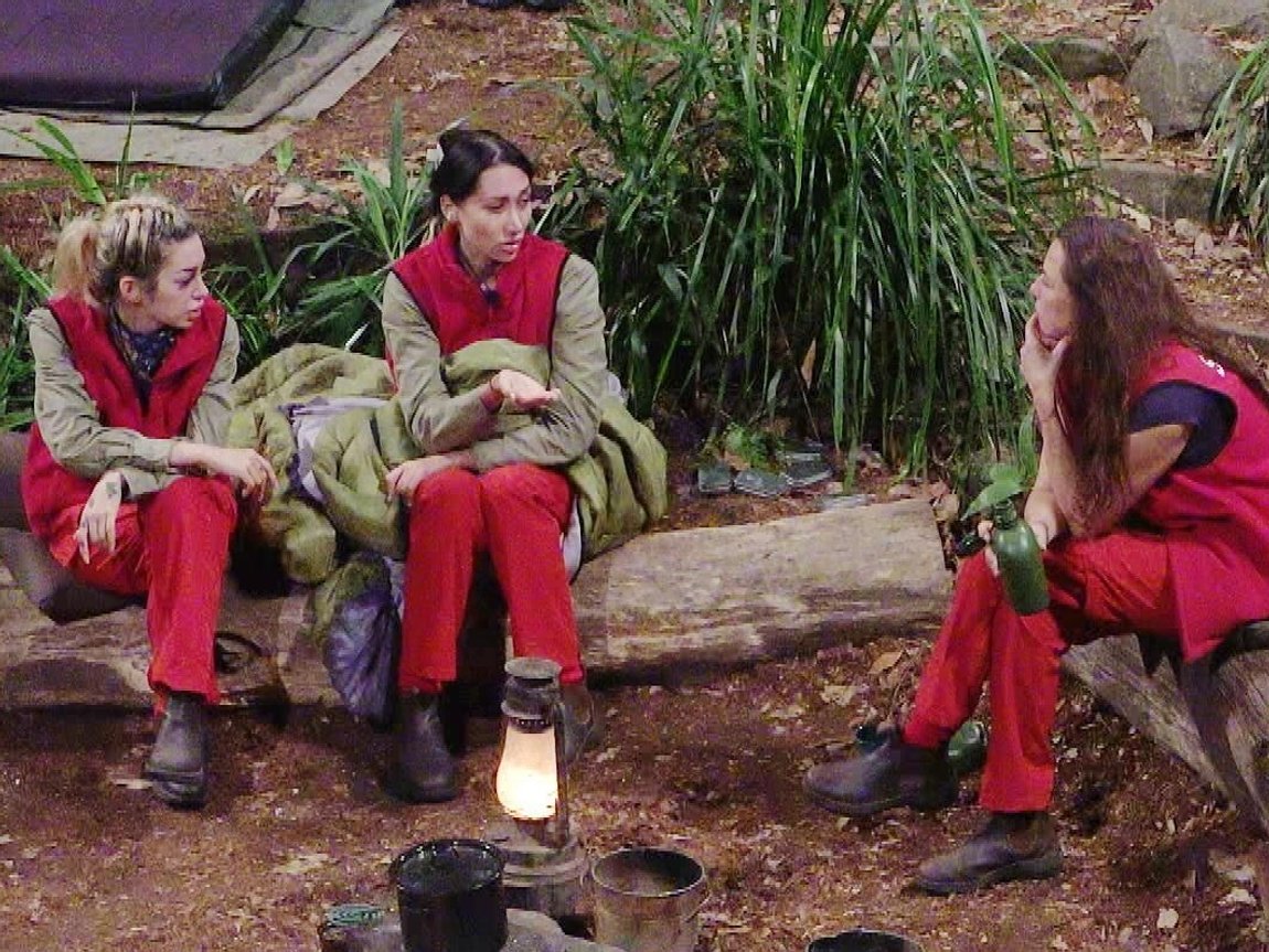 Jungle camp: The viewers' guilt and the lazy youth