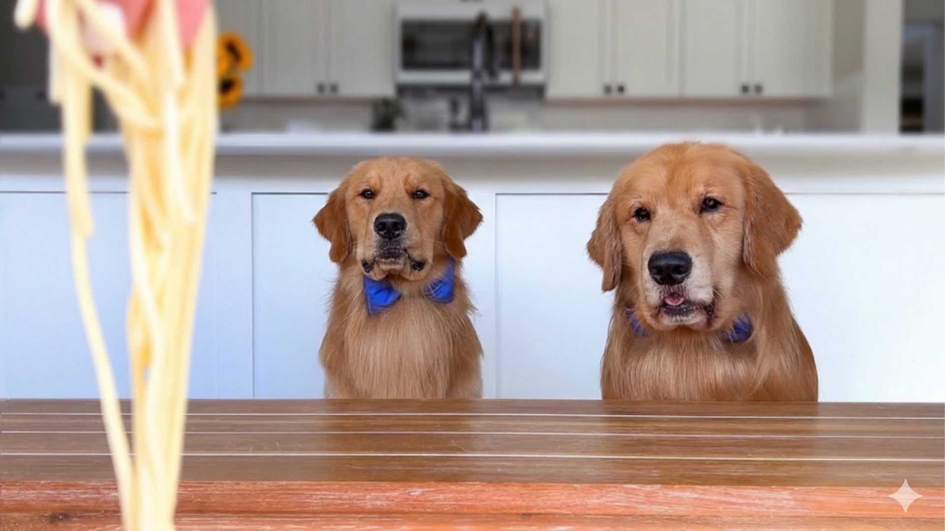 My dog is teaching his son how to judge food