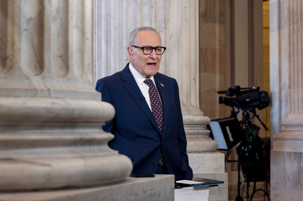 Jeffries, Schumer lay out 10 demands to fund DHS, avoid next government ...