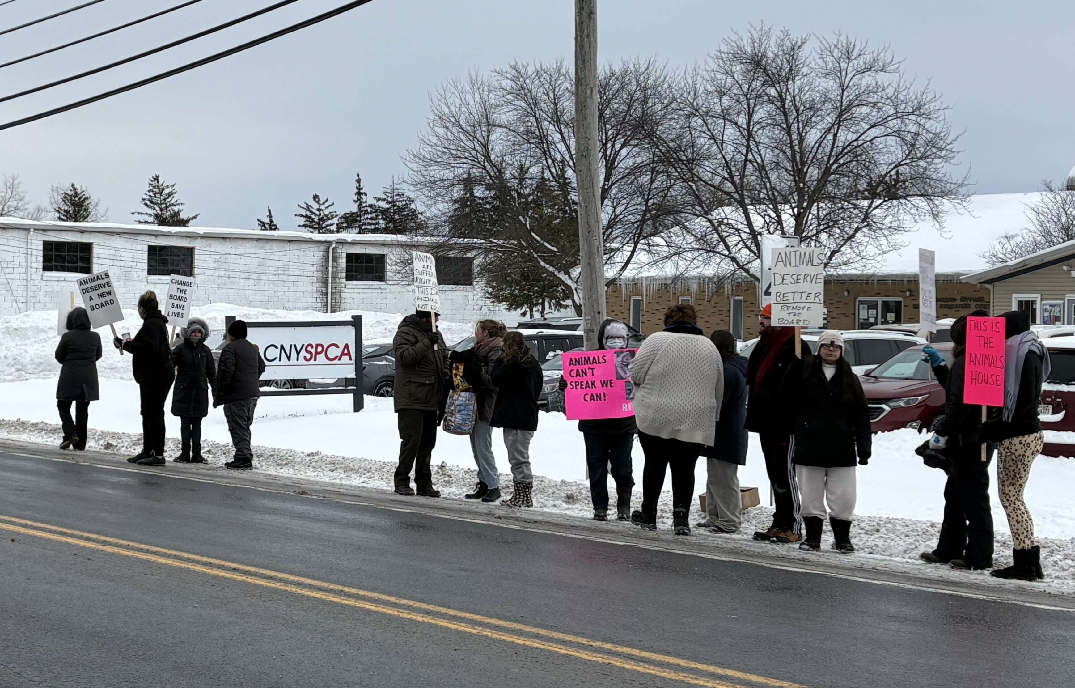 New board takes over Central NY SPCA after staff protest, claims of ...