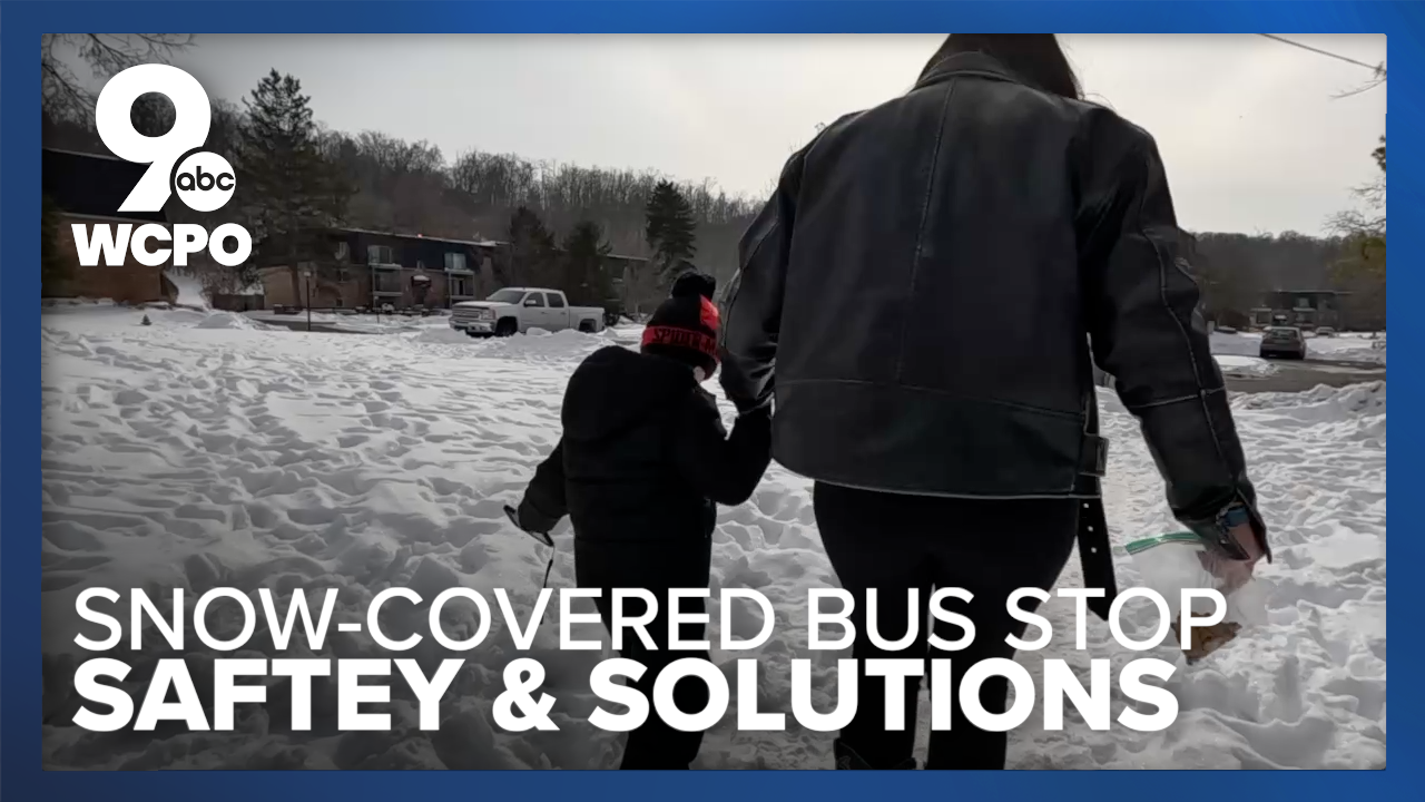 Mom finds solution for safety concerns over son's icy bus stop