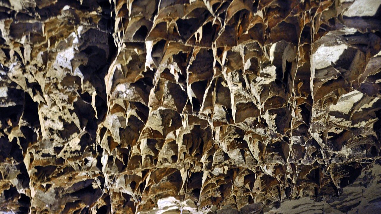 South Dakota’s wildest cave holds 95% of a formation found nowhere else ...