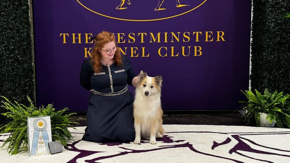 Eugene dog takes prize at Westminster Kennel Club Dog Show in NYC