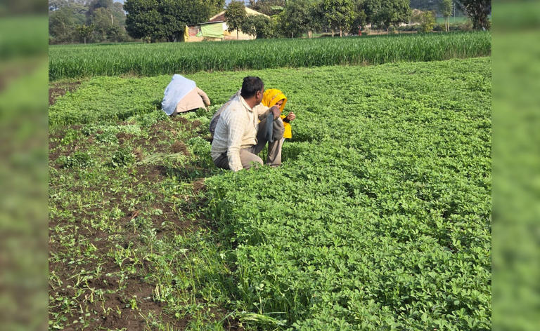 As US trade deal enters final stretch, Centre assures silver lining for ...