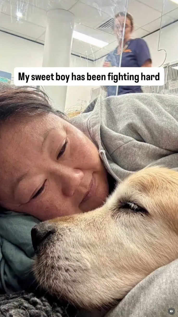 RecipeTin Eats founder Nagi Maehashi taking time away in sad update ...