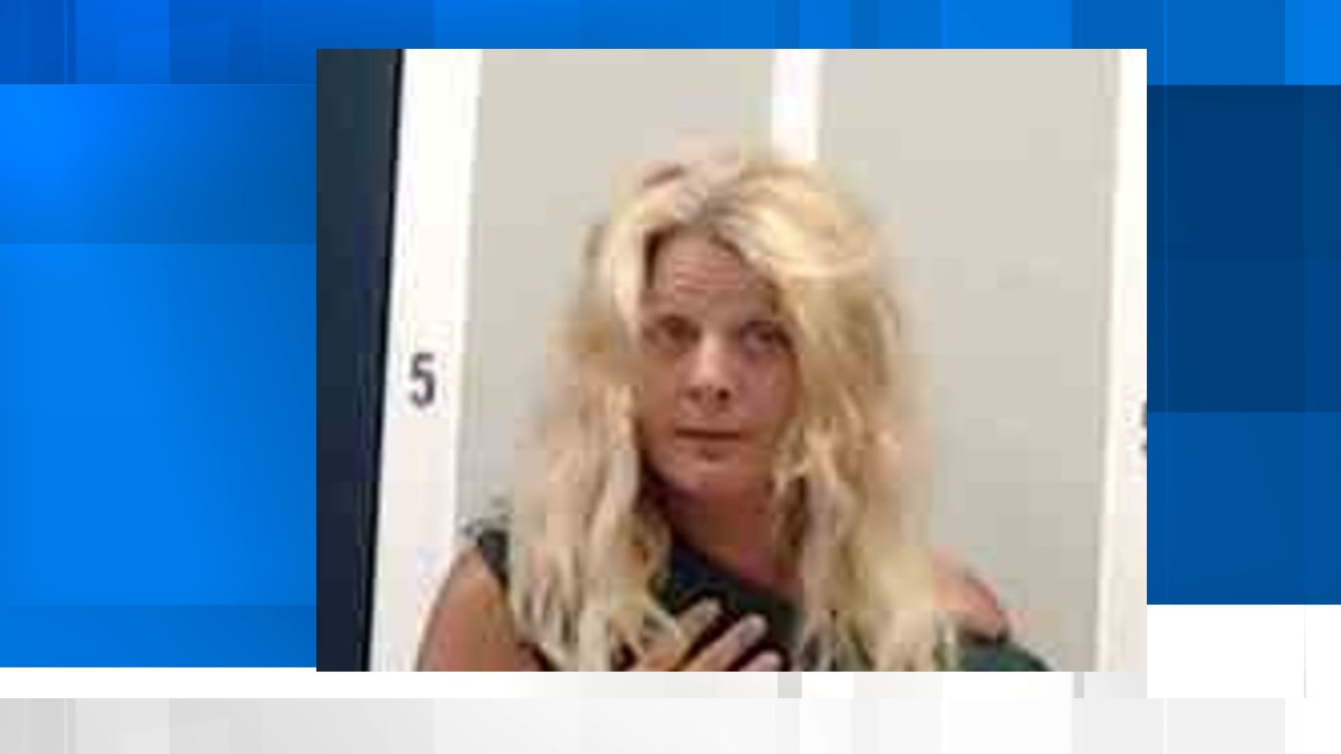 DeKalb County woman sentenced after pleading guilty to pushing victim ...