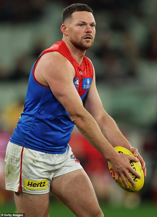 New details emerge about Boxing Day brawl involving AFL stars Steven ...