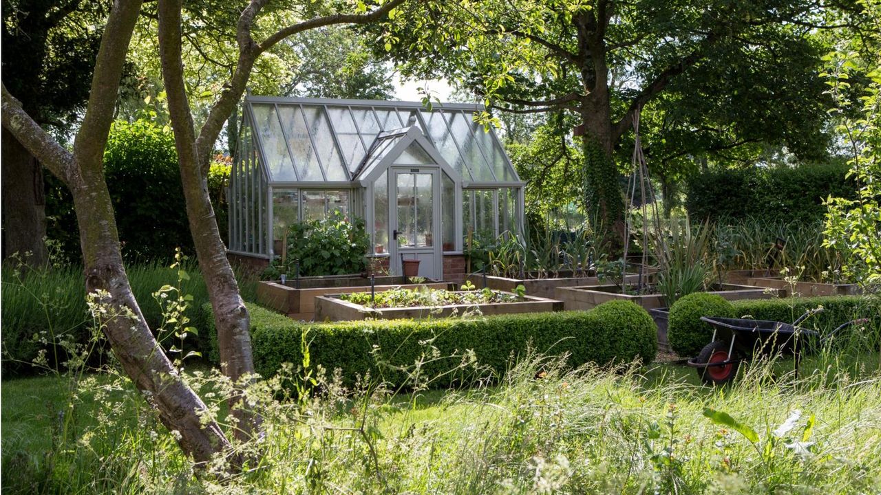 A garden expert warns to never grow these 5 plants in a greenhouse