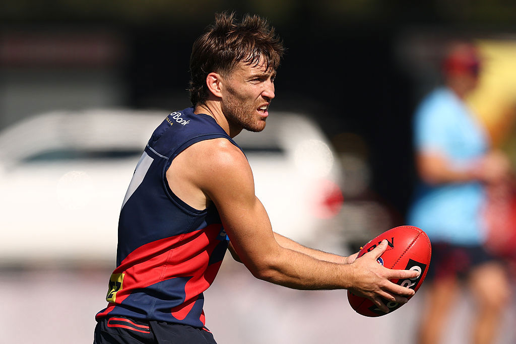 Melbourne's fears for Viney as injury ward grows