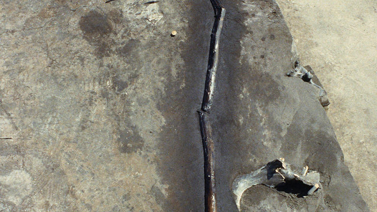 When scientists re-dated prehistoric spears they found a strange result ...