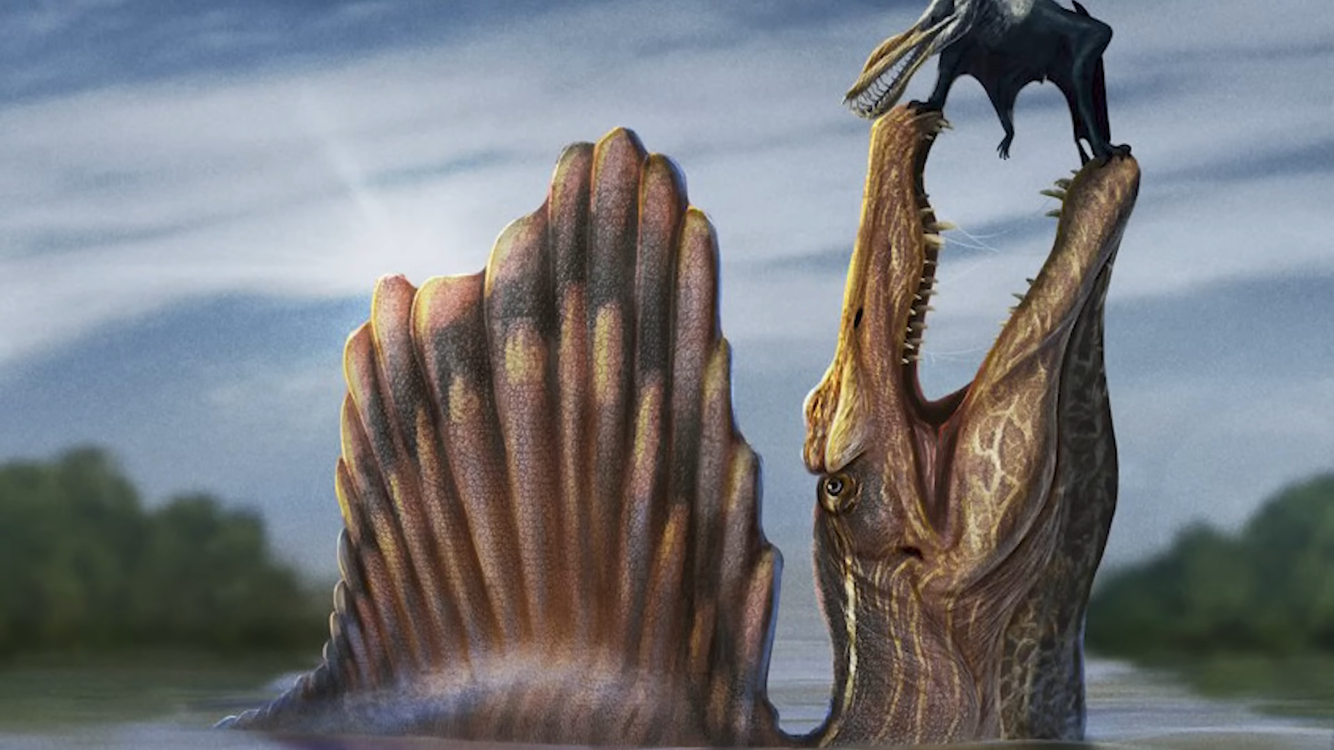 The "king" dinosaur whose identity remains unresolved