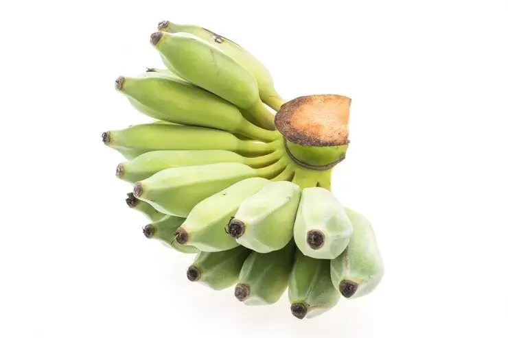 Tak cuma enak digoreng, ini 4 manfaat pisang kepok bagi kesehatan tubuh