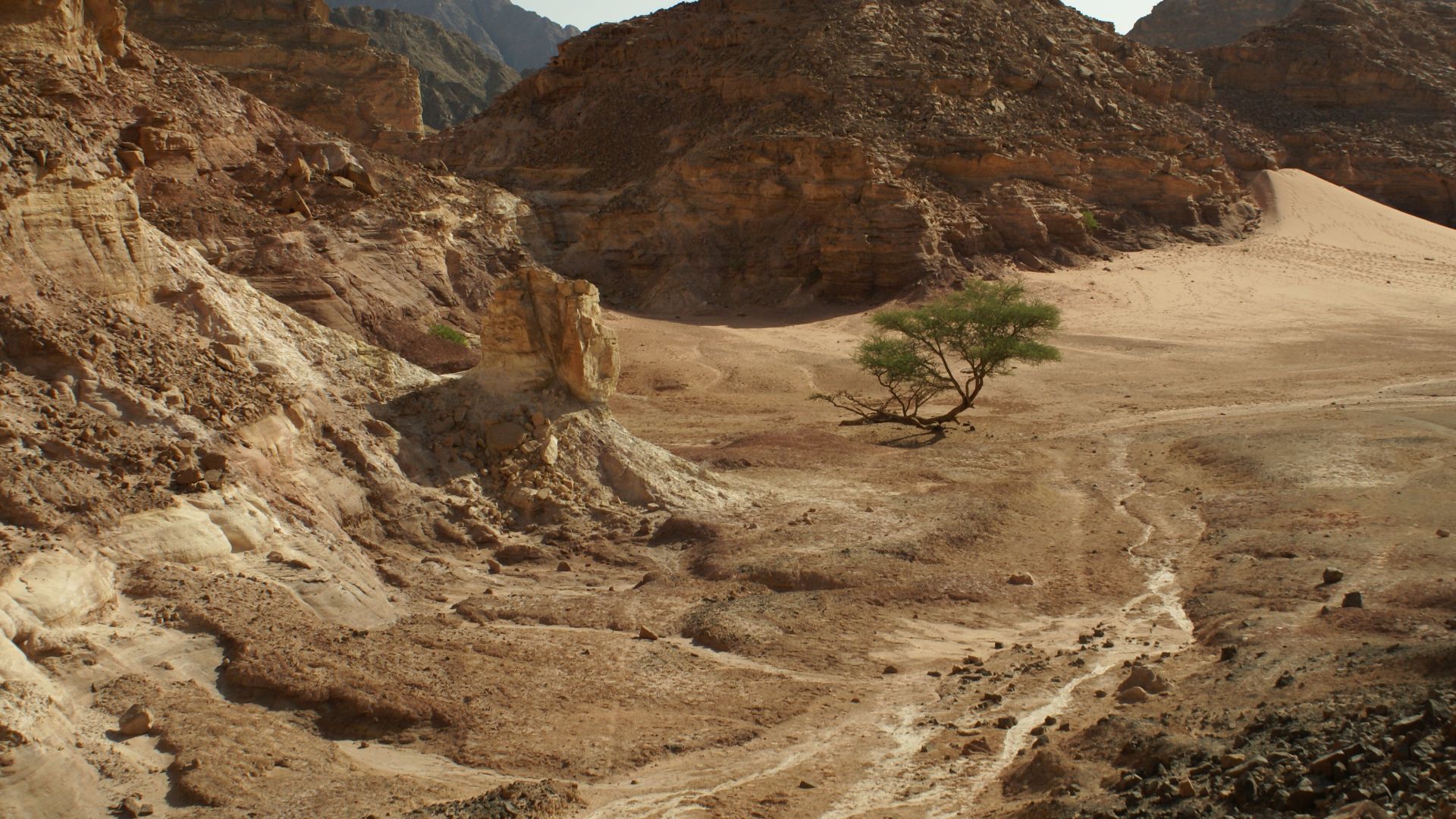 The Ark of the Covenant: Separating history and myth