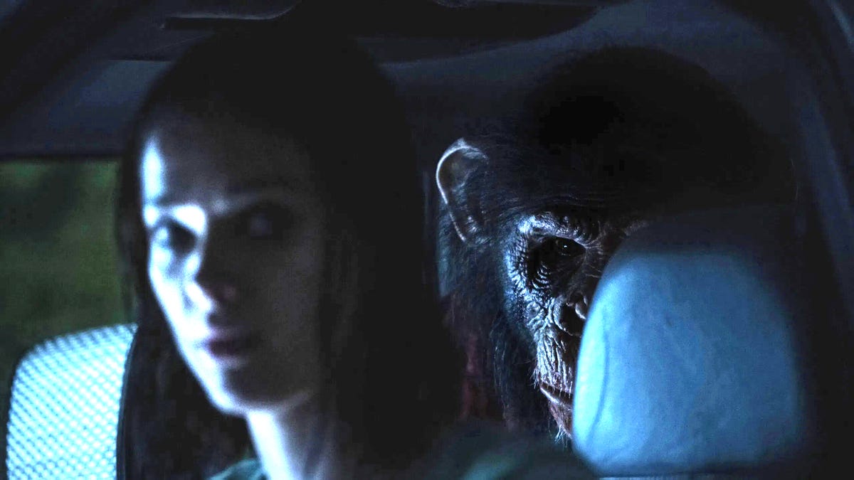 Crítica de 'Primate', terror salvaje y simiesco sin sutilezas: "Ofrece ...