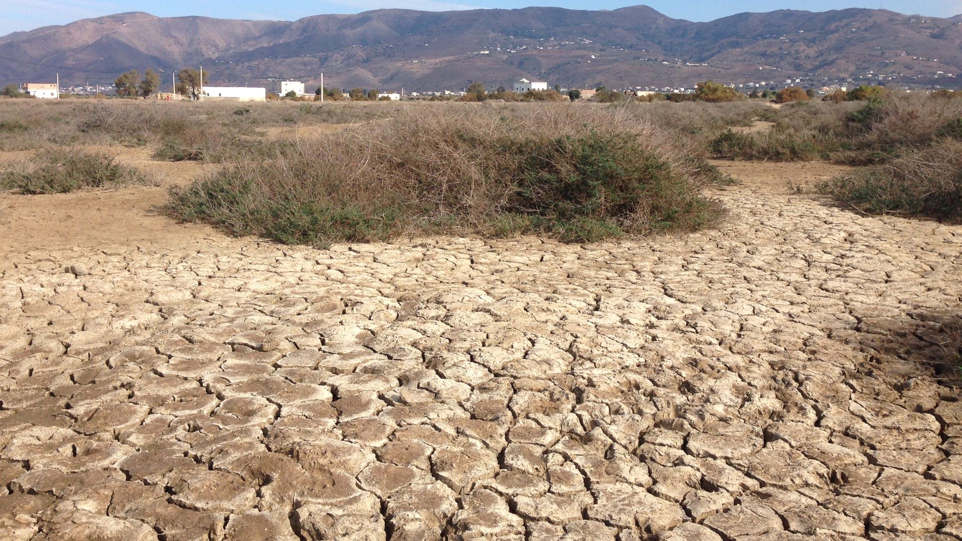 Severe drought reveals 40 ancient tombs at Iraq’s Mosul Dam reservoir ...