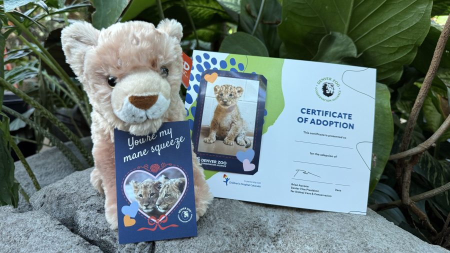This is how you can 'adopt' a Denver Zoo animal for your valentine