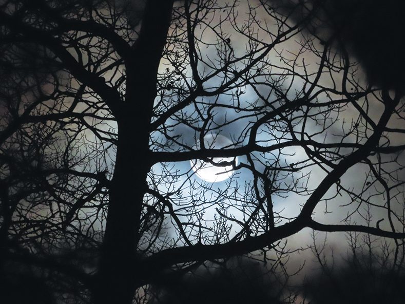 Capturing the moon’s many faces—and phases
