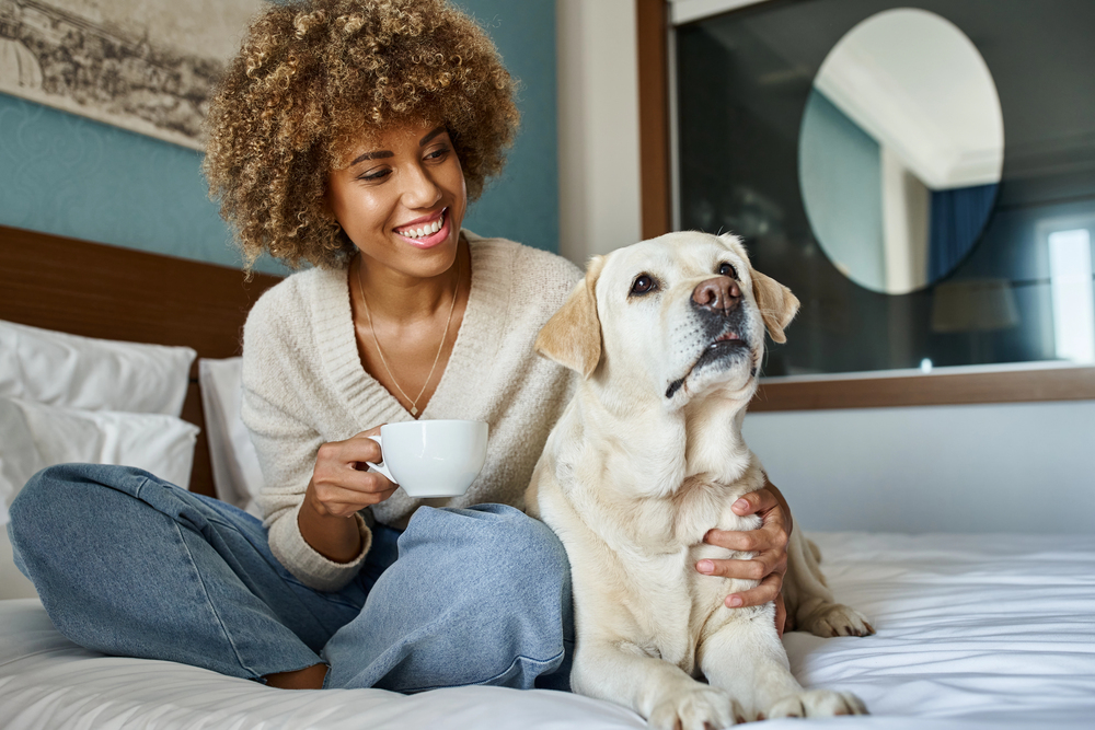 Luxury travel tips for your pet-friendly trip