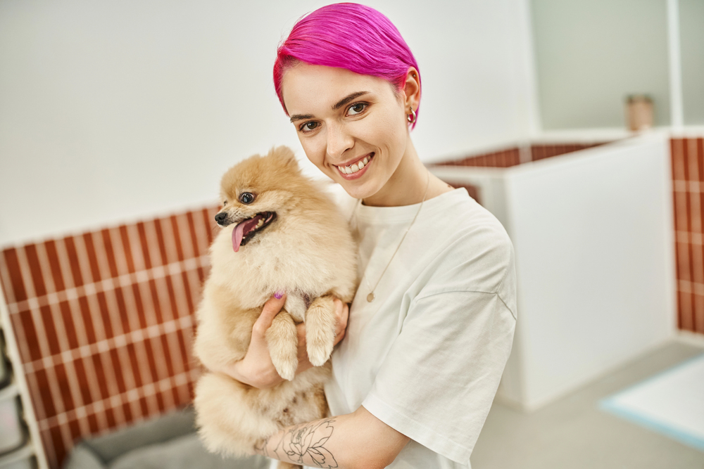 Luxury travel tips for your pet-friendly trip