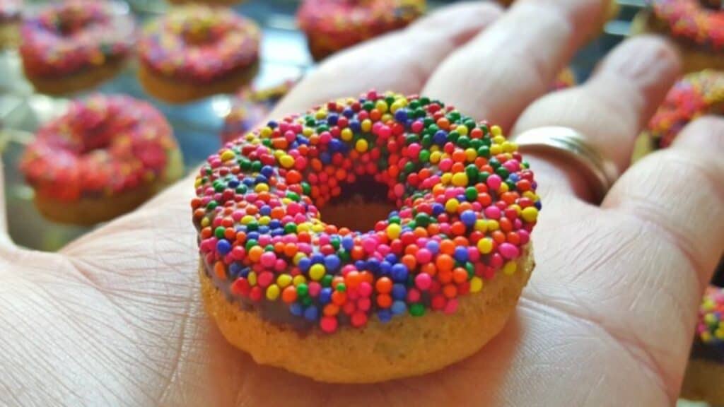 11 homemade donuts my family loves