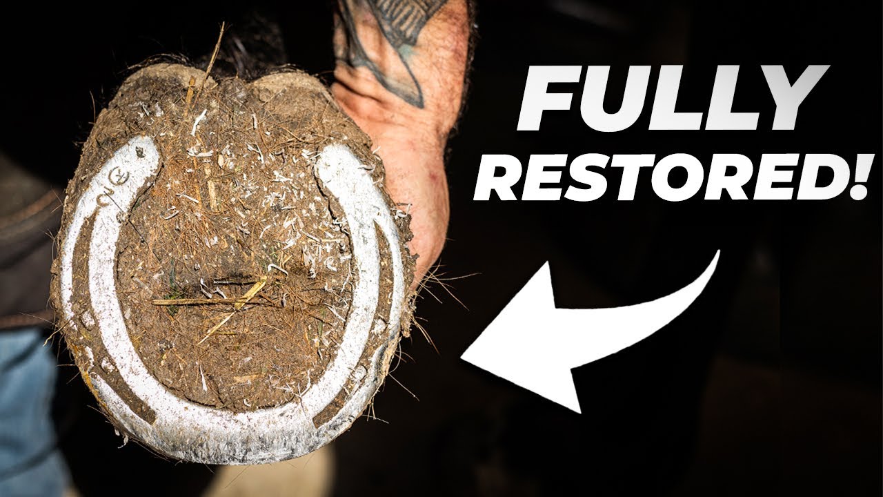 Restoring a horse hoof full of mud | Satisfying hoof cleaning