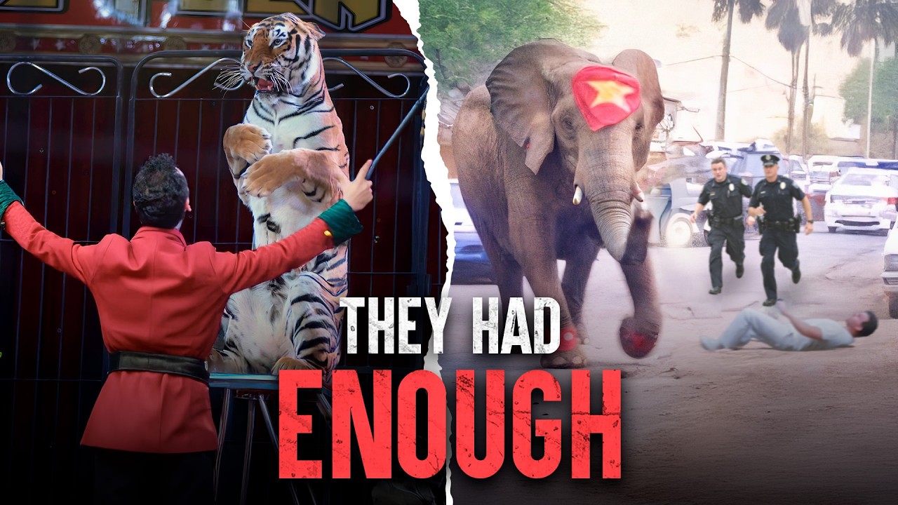 The terrifying scientific facts about the deadliest circus animals