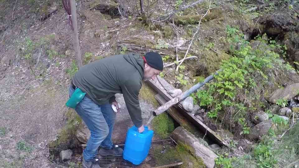 It seemed like a peaceful camping trip until 12 bears showed up