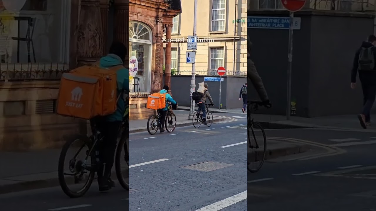 Exploring Dublin alongside the city’s furry companions