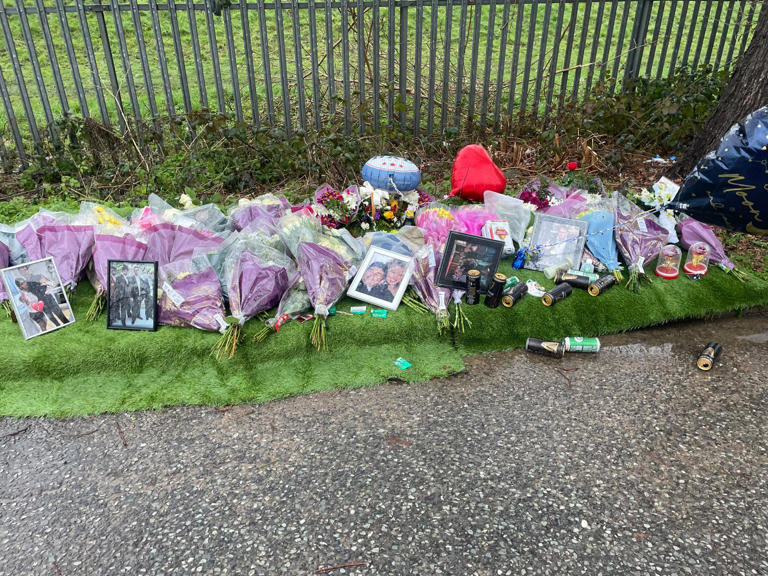 E-bike rider killed in crash with horse and cart on 'wild west road' is ...