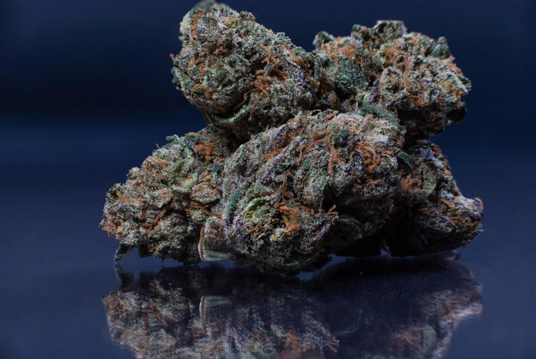 Básicos del cannabis: ¿qué es un cogollo?