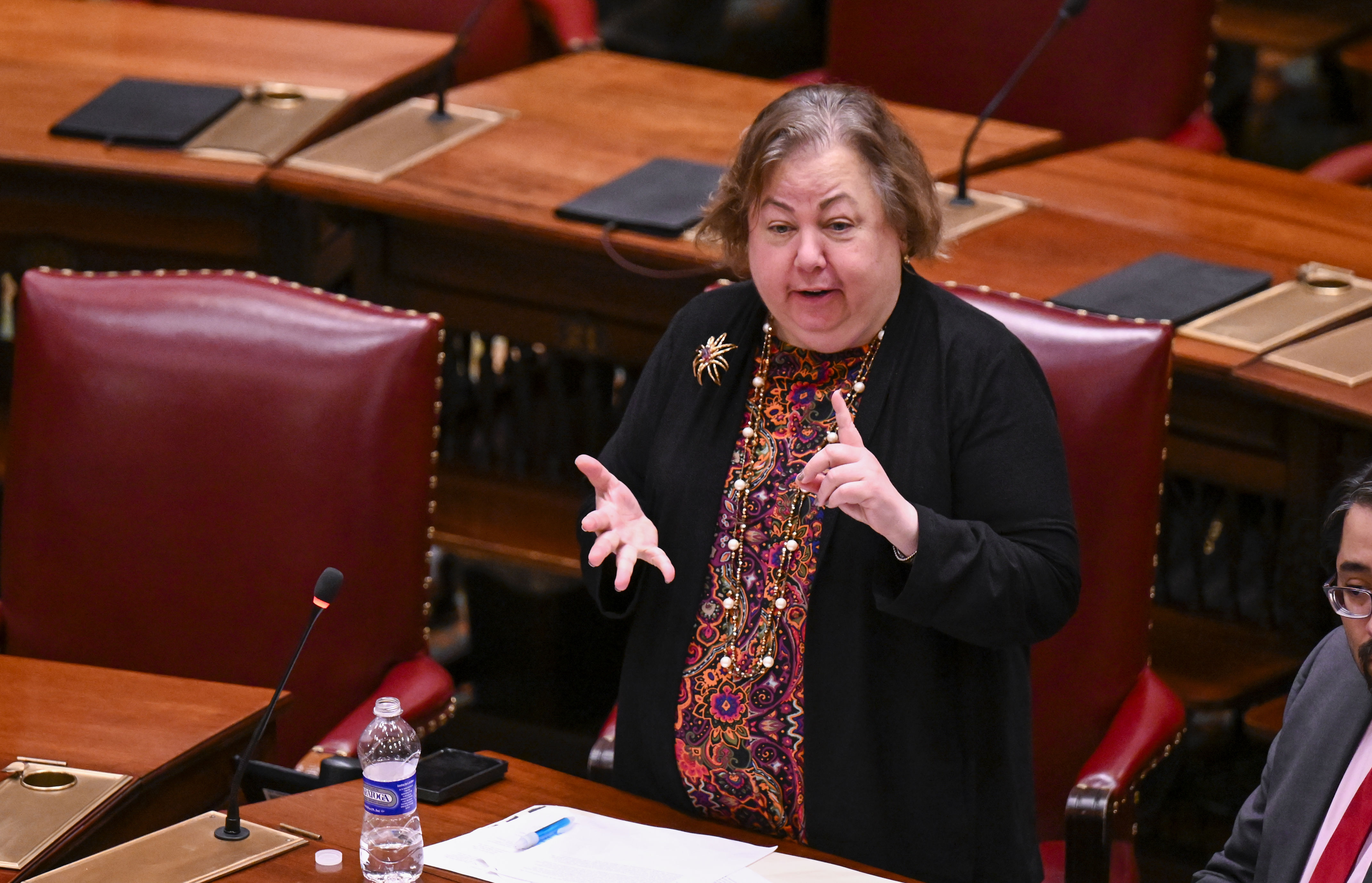 New York Democrats propose sweeping pause on data center construction
