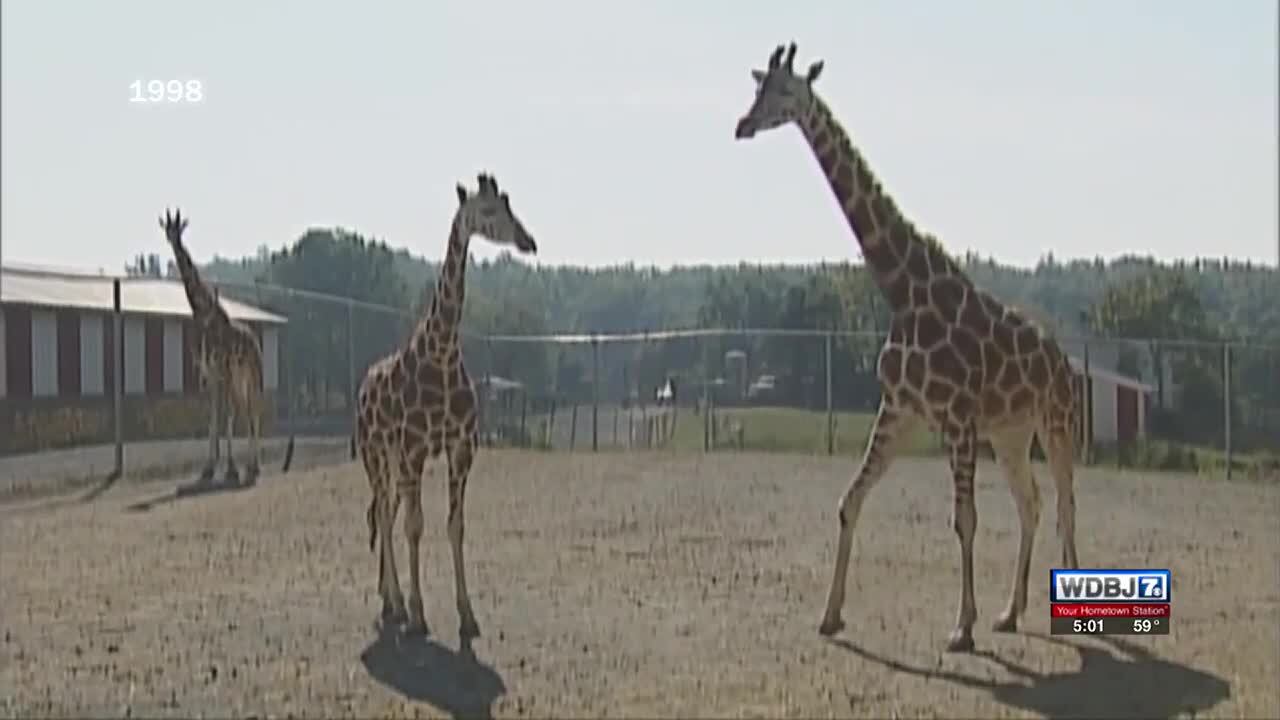 Natural Bridge Zoo owners face animal cruelty charges