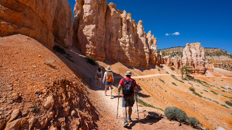 5 creatures to beware of when visiting Bryce Canyon National Park