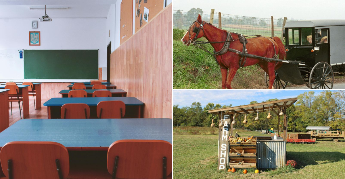 Discovering Amish communities in Ohio and their daily practices
