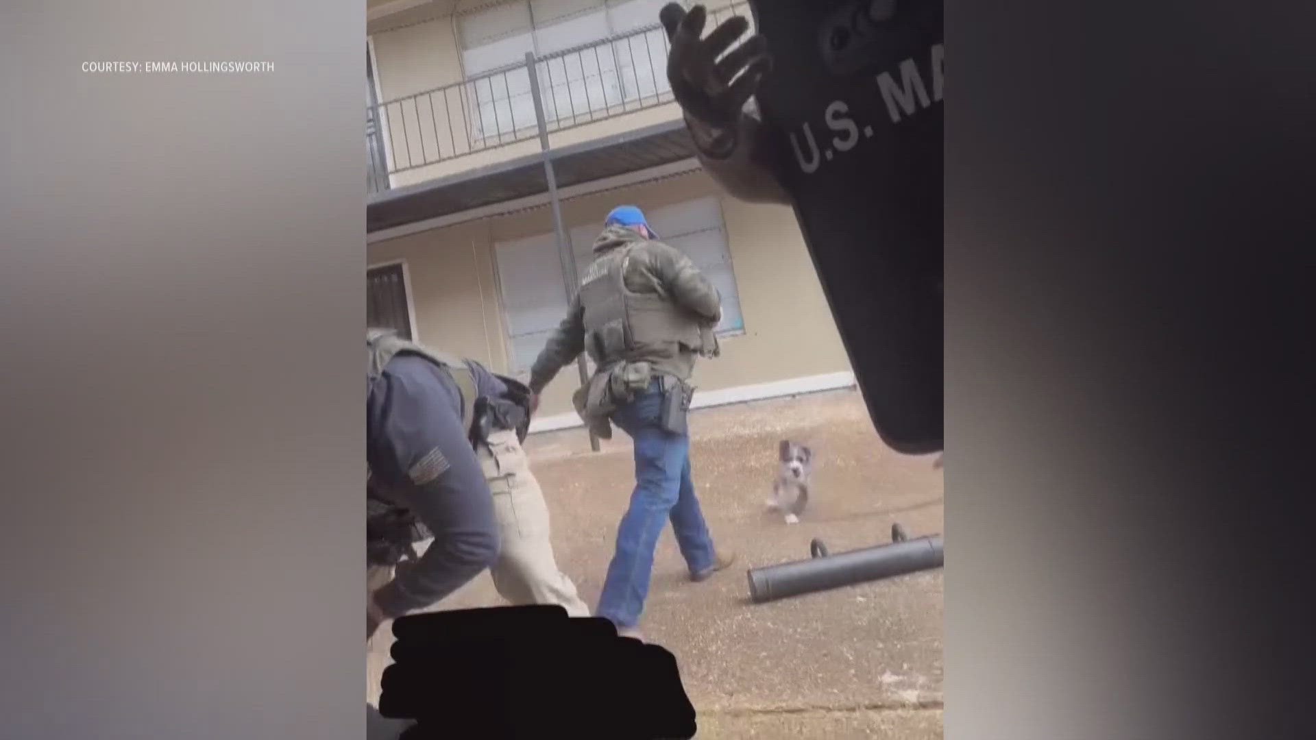 Trigger warning | Video of federal agent kicking dog in Memphis goes viral