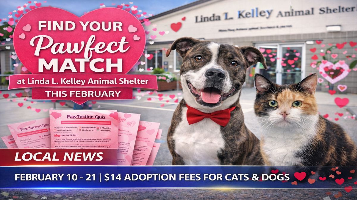 Valentine's adoption deal: $14 cats, dogs in Calvert