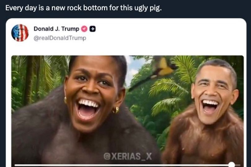 White House offers shameful 'Lion King' excuse after Trump posts racist ...