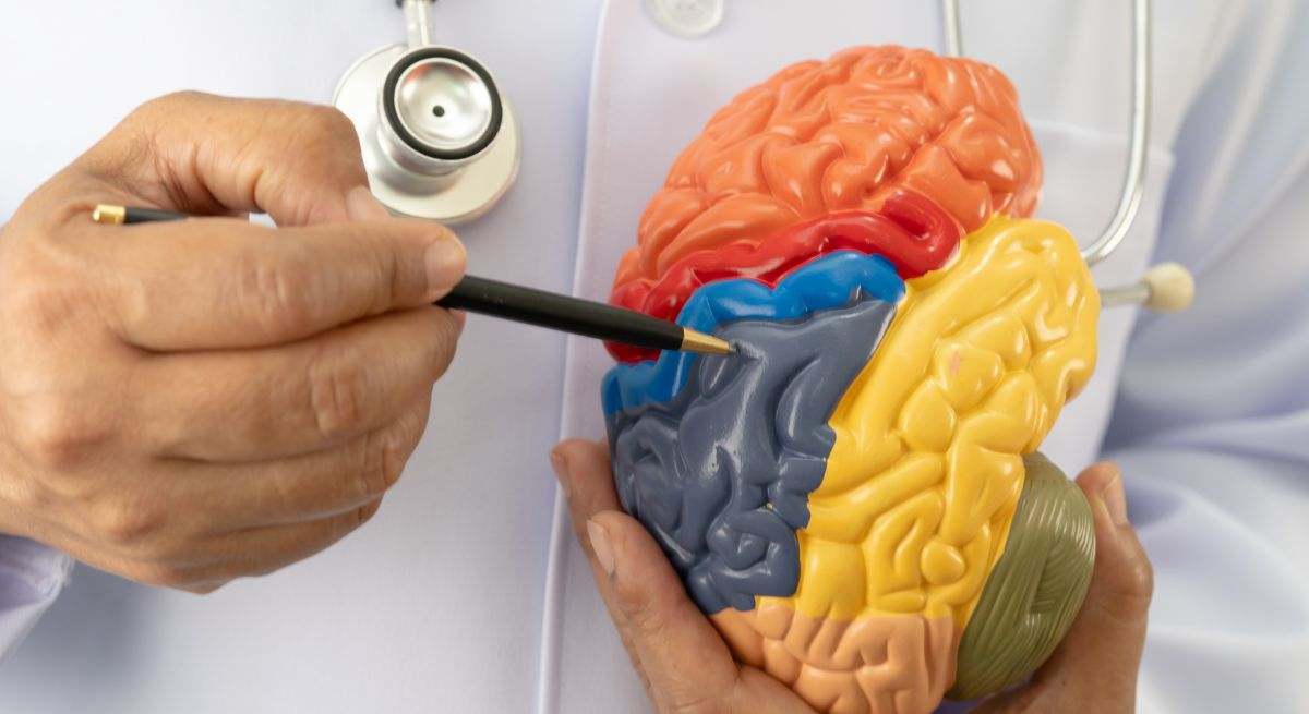 Un neurólogo advierte sobre la epilepsia: "La convulsión no es sino un ...