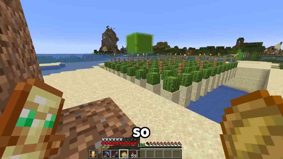 Massive cactus farm constructed in Minecraft hardcore mode