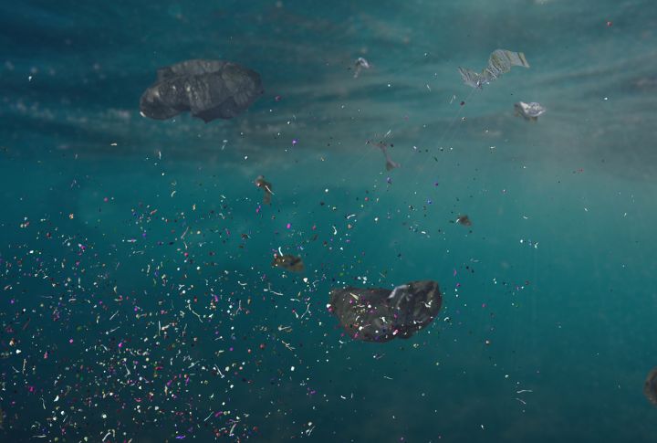 15 deep ocean myths busted by science