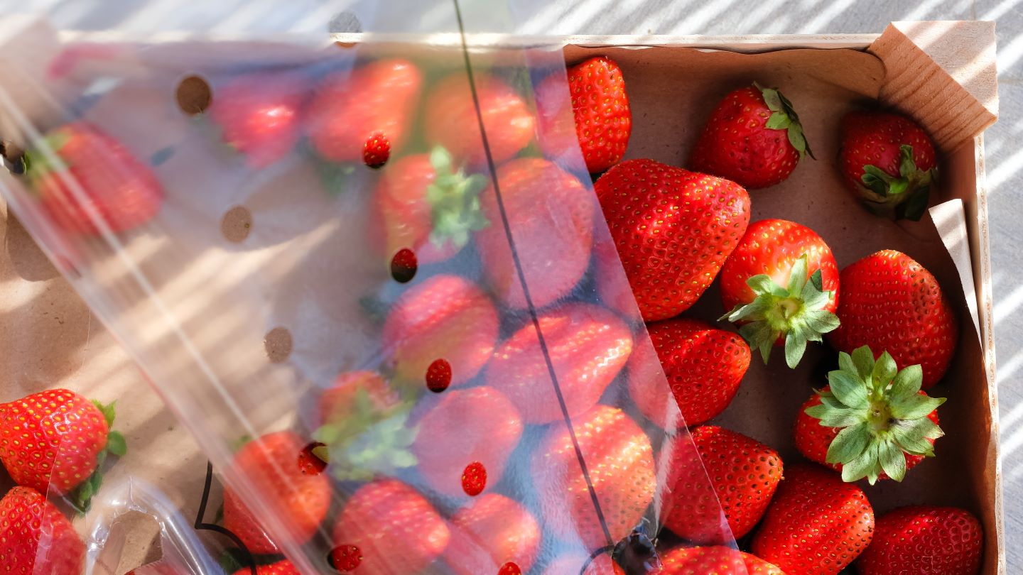 Mamata Machinery introduces new recyclable packaging film