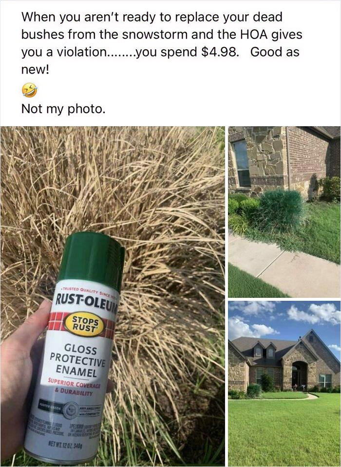 50 times people had such wild solutions to their problems, they were ...