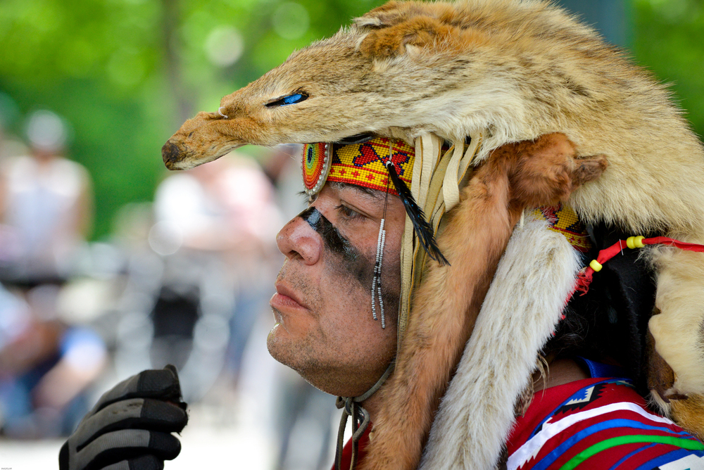 Best indigenous travel tours in Canada