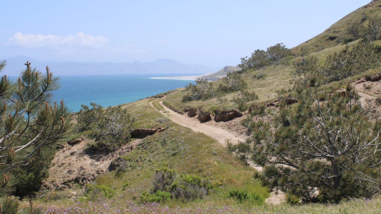 Five wild islands sit right off the California coast, and almost nobody ...