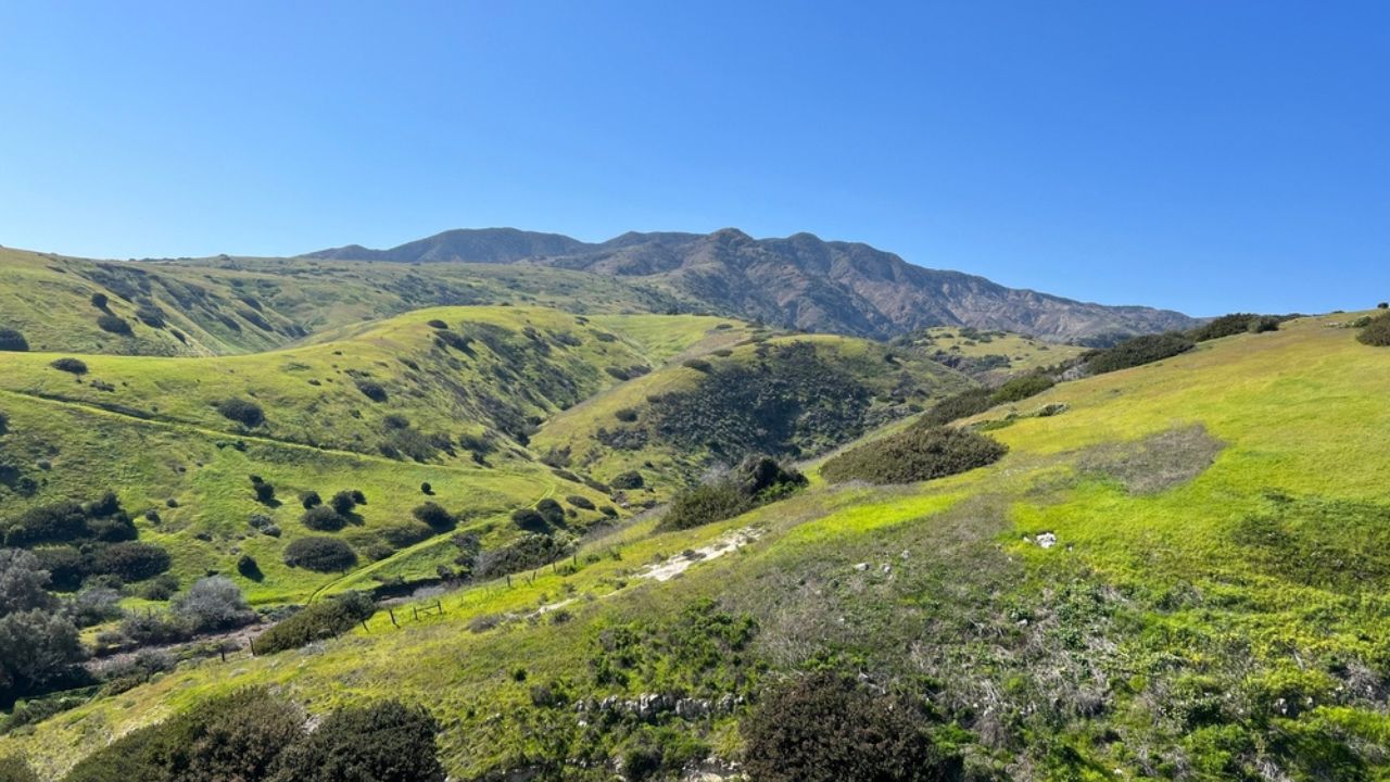 Five wild islands sit right off the California coast, and almost nobody ...
